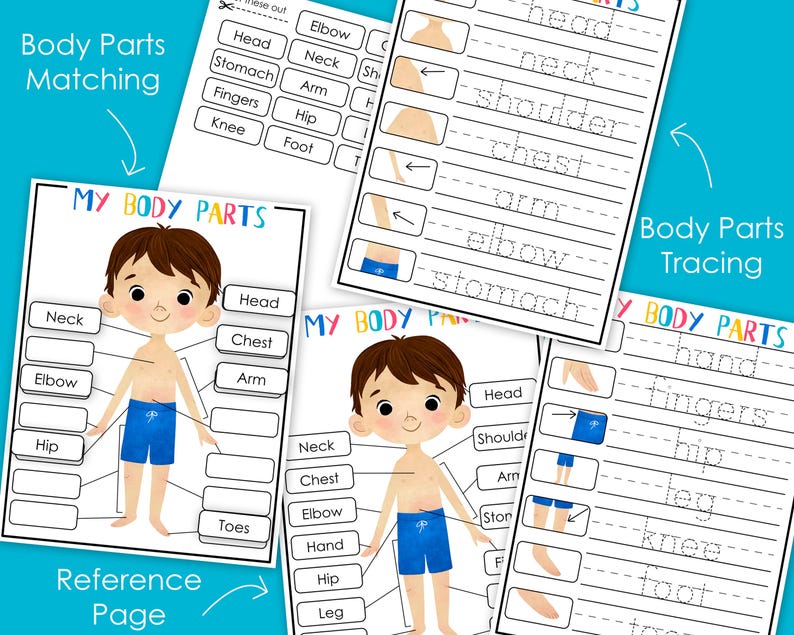 Body Parts Printable Preschool Activity | Toddler Busy Book Science ...
