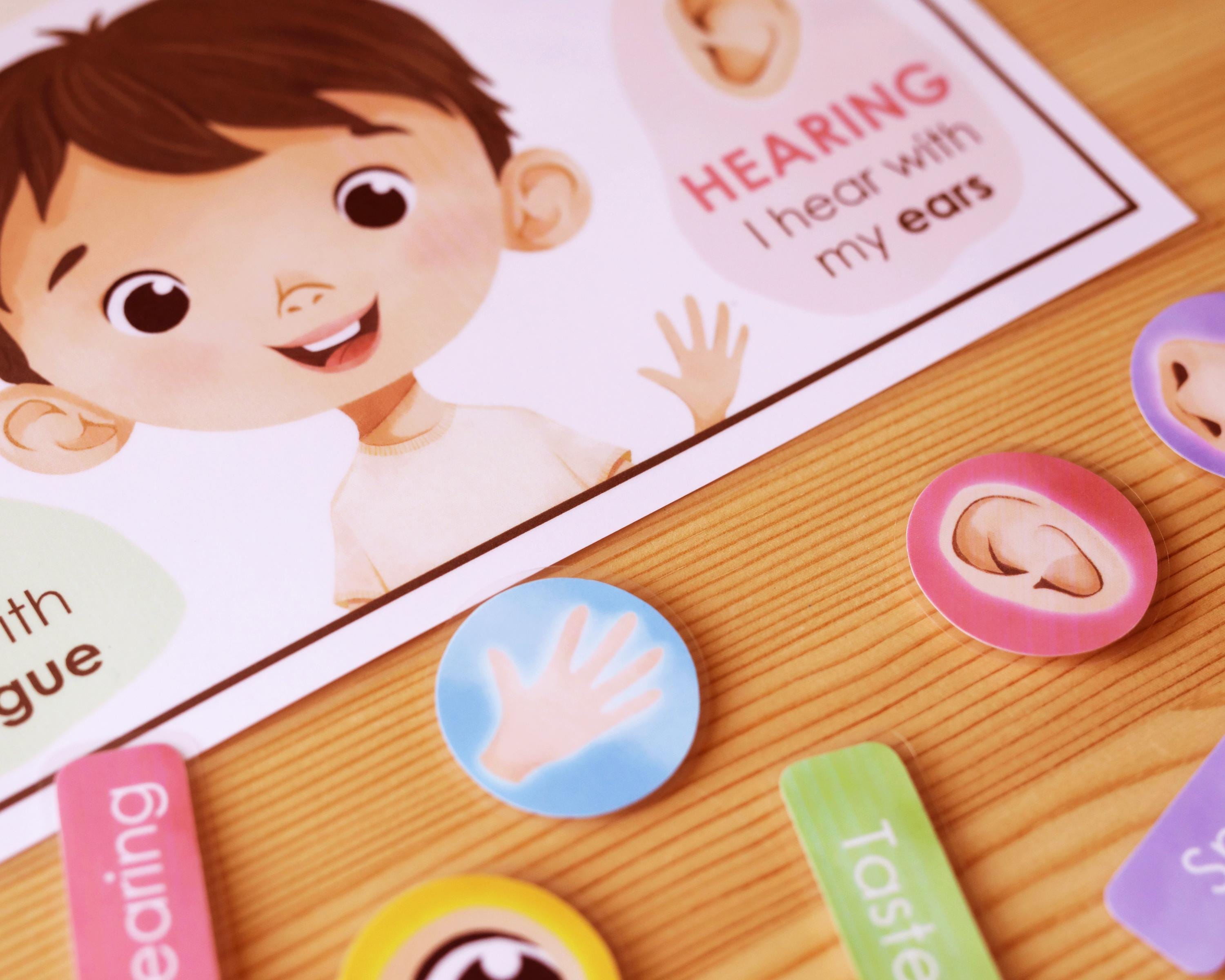 My 5 Senses Printable Pack | 5 Human Senses Preschool Learning Game ...