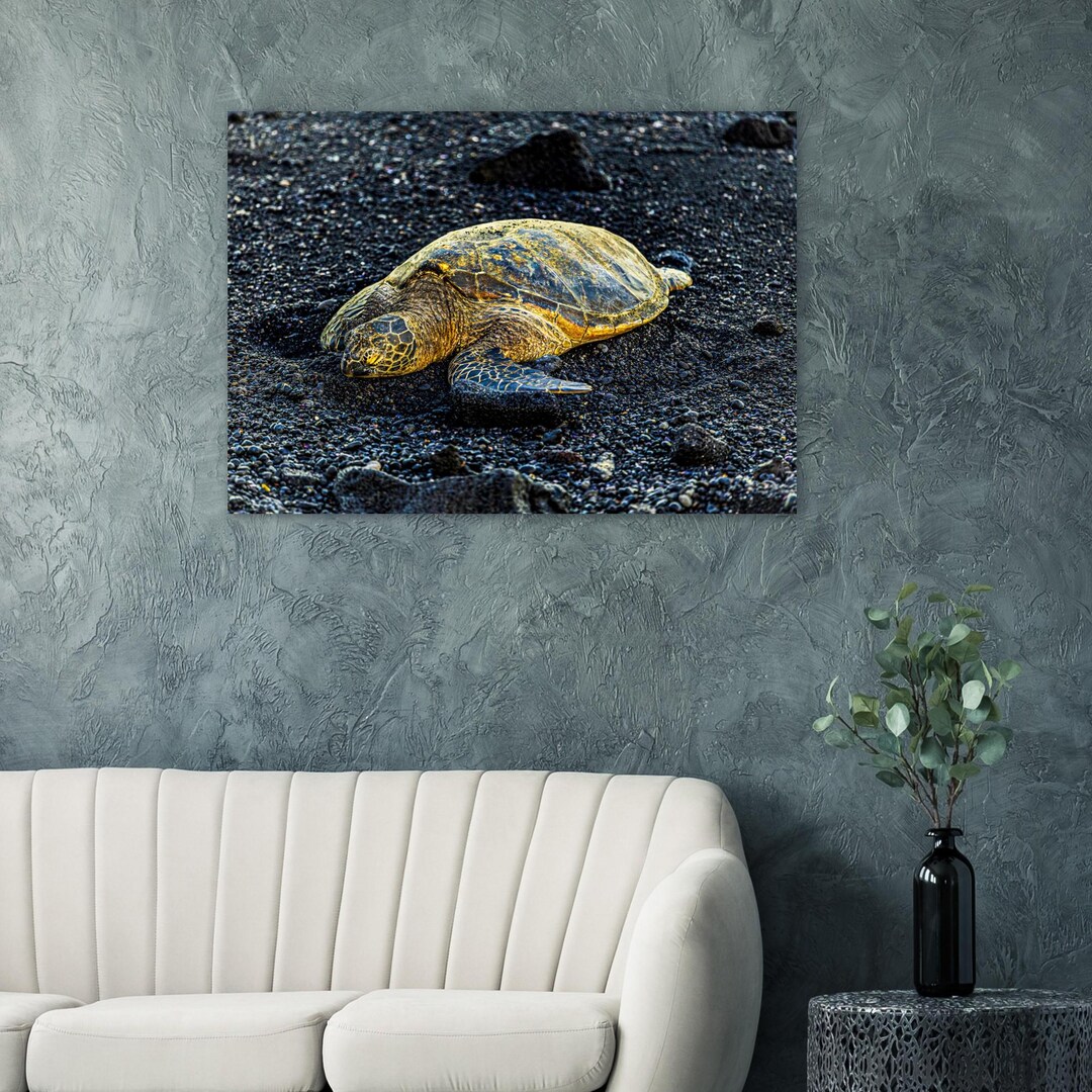 Hawaiian Sea Turtle Resting on Volcanic Black Sand Beach Tropical ...