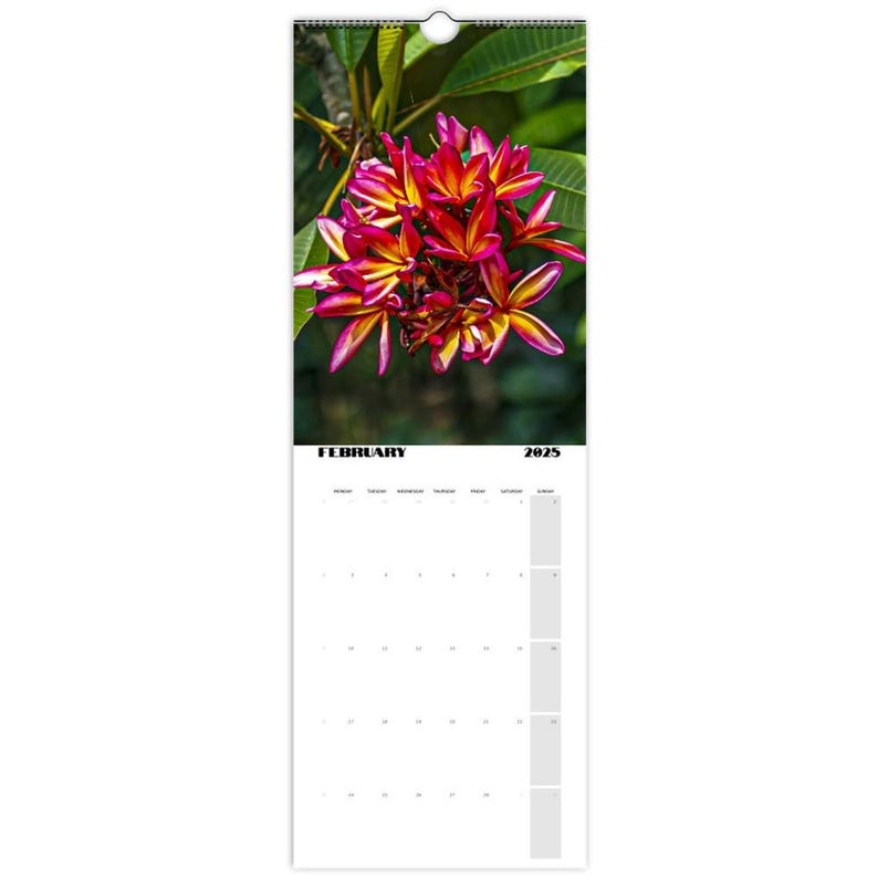 2025 Tropical Hawaii Calendar - Dolphins, Sunsets, Turtles, Waterfalls ...