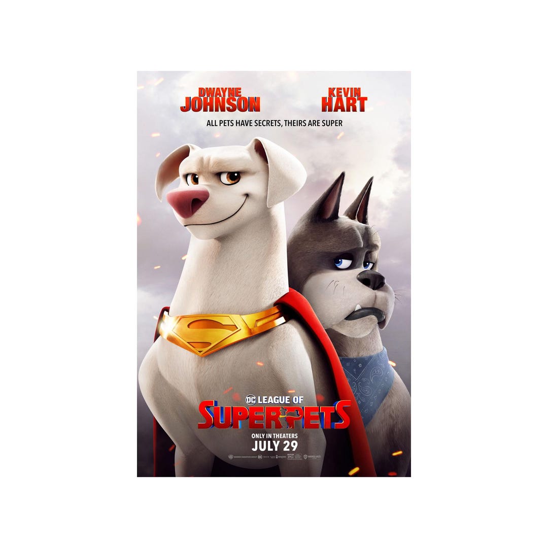 DC League of Super-pets Movie Poster 2 Sided ORIGINAL Final 27x40 Kevin ...