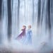 FROZEN II Movie Poster 2 Sided ORIGINAL Intl Version B 27x40 Kristen ...