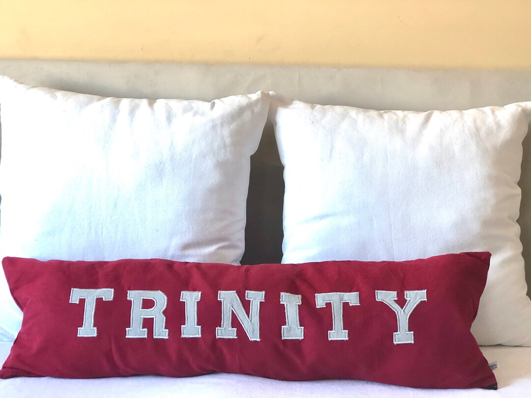 Applique Pillow Cover College Dorm Throw Pillows for Beds, Graduation ...