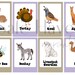 Farm Animals Digital Early Learning Flashcards | Ages 1+ | Animal Names ...