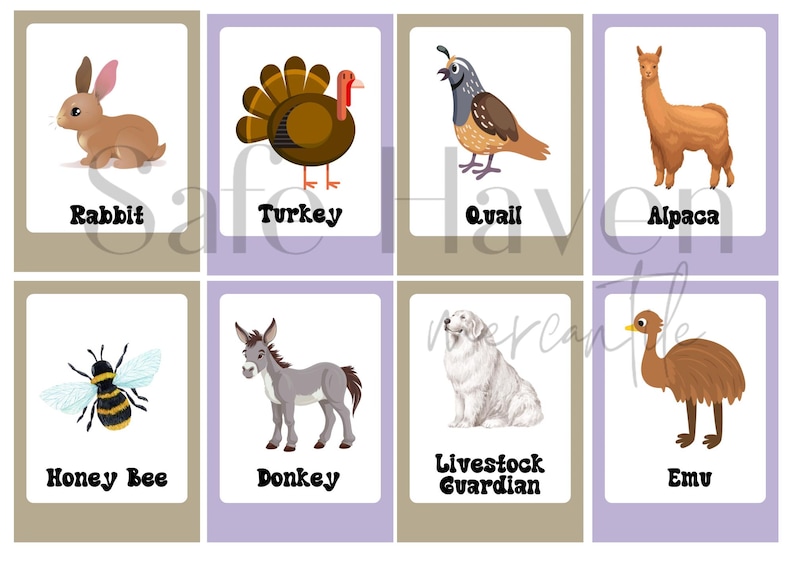 Farm Animals Digital Early Learning Flashcards | Ages 1+ | Animal Names ...