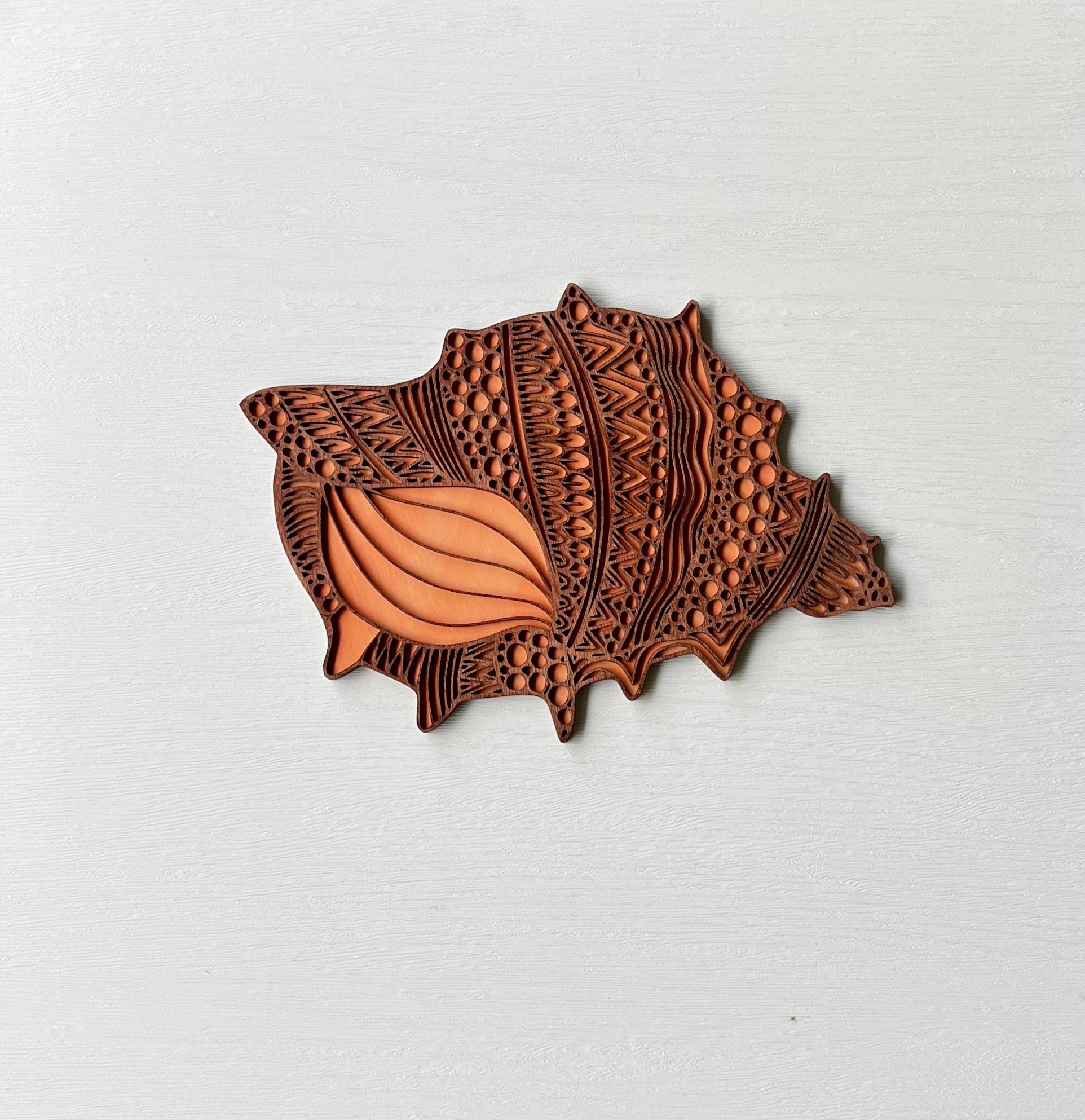 Conch Shell Wall Art. Beach House Decor. Seashell Decor. | Etsy