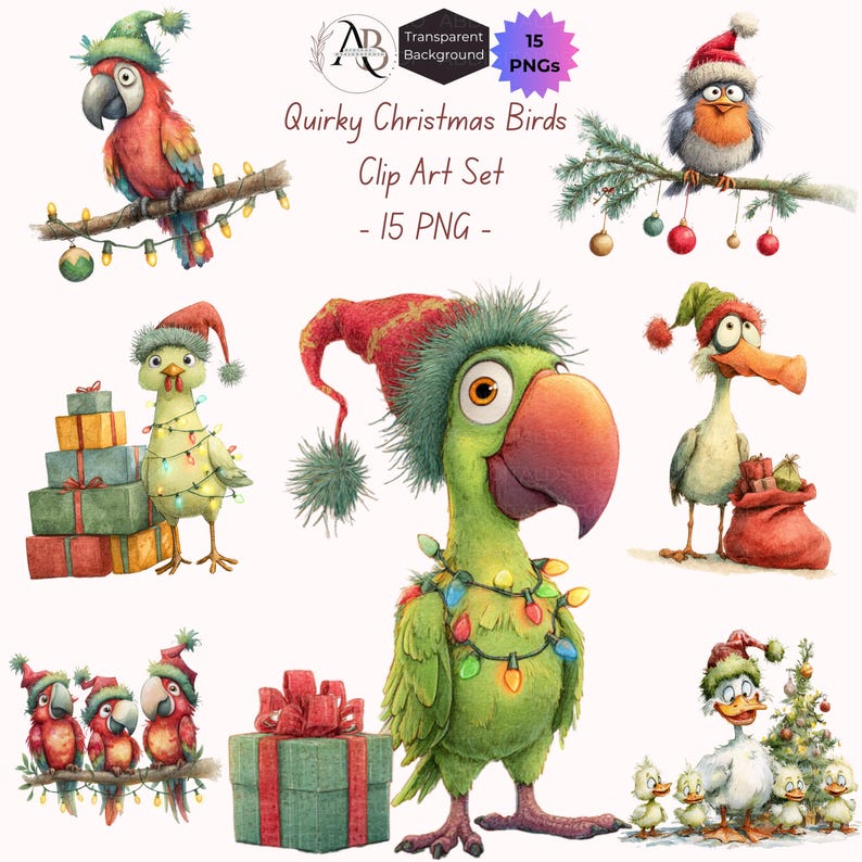 Christmas Birds Clipart - Quirky Bird: 15 Pngs for Funny Holiday Cards ...