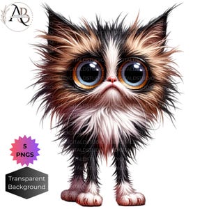 Quirky Cat Clipart, Funny Cat, Frazzled Cat, Cartoon Cat, Bundle Cat ...