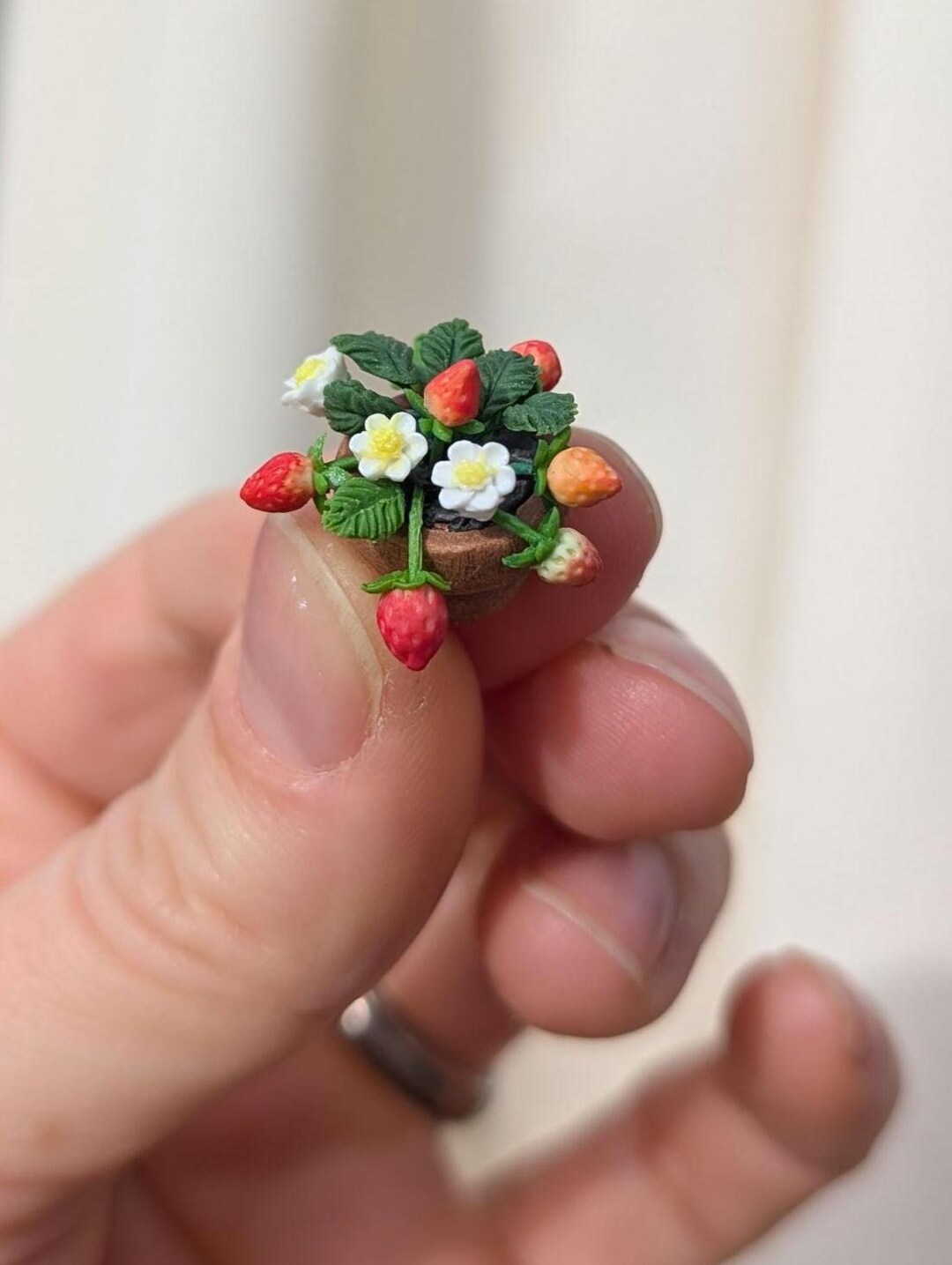 Miniature Strawberries in a Pot, Dollhouse Bleeding Strawberry Plants ...