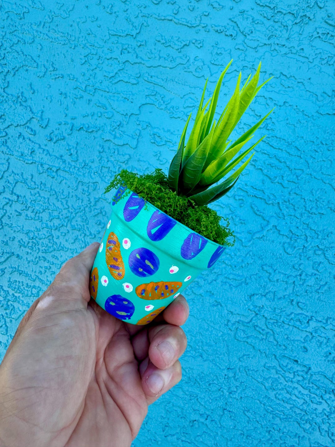 Succulent Arrangement, Hand Painted Pot, Desktop Decor, Office Decor ...