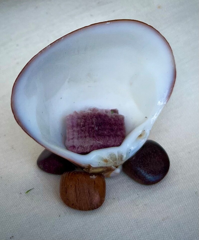 Miniature Fairy Seashell Chair - Etsy