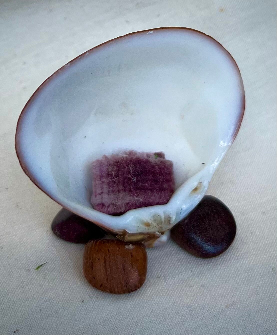 Miniature Fairy Seashell Chair - Etsy