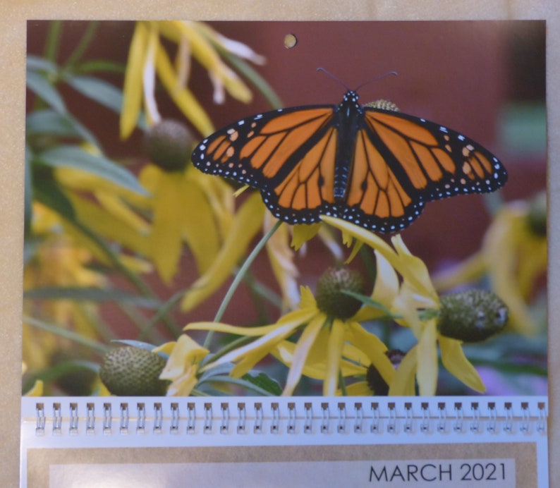 2021 Calendar Wall Calendar Original Photography Butterfly | Etsy