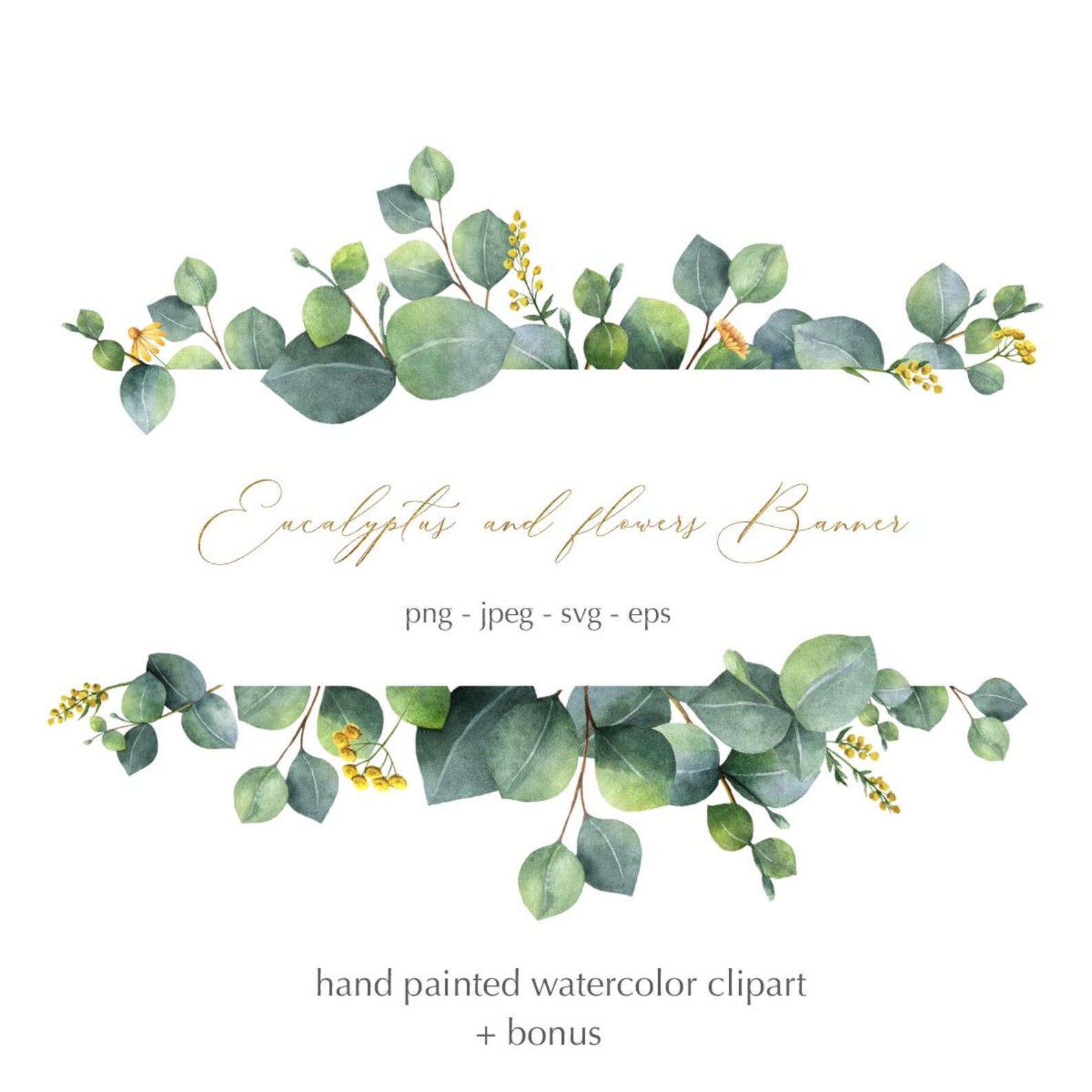 Watercolor Eucalyptus Clipart, Greenery & Leaves for Wedding ...