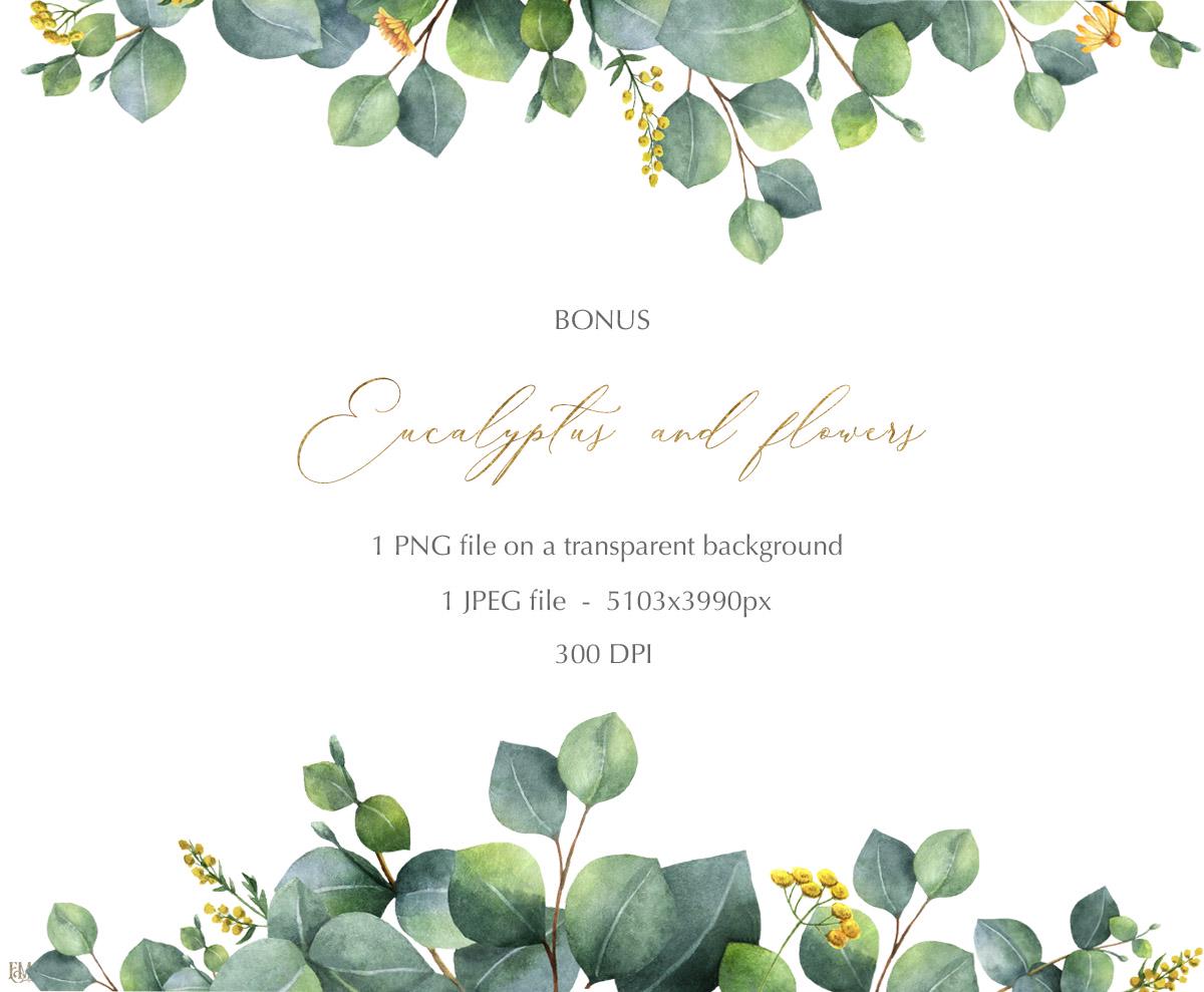 Watercolor Eucalyptus Clipart, Greenery & Leaves for Wedding ...