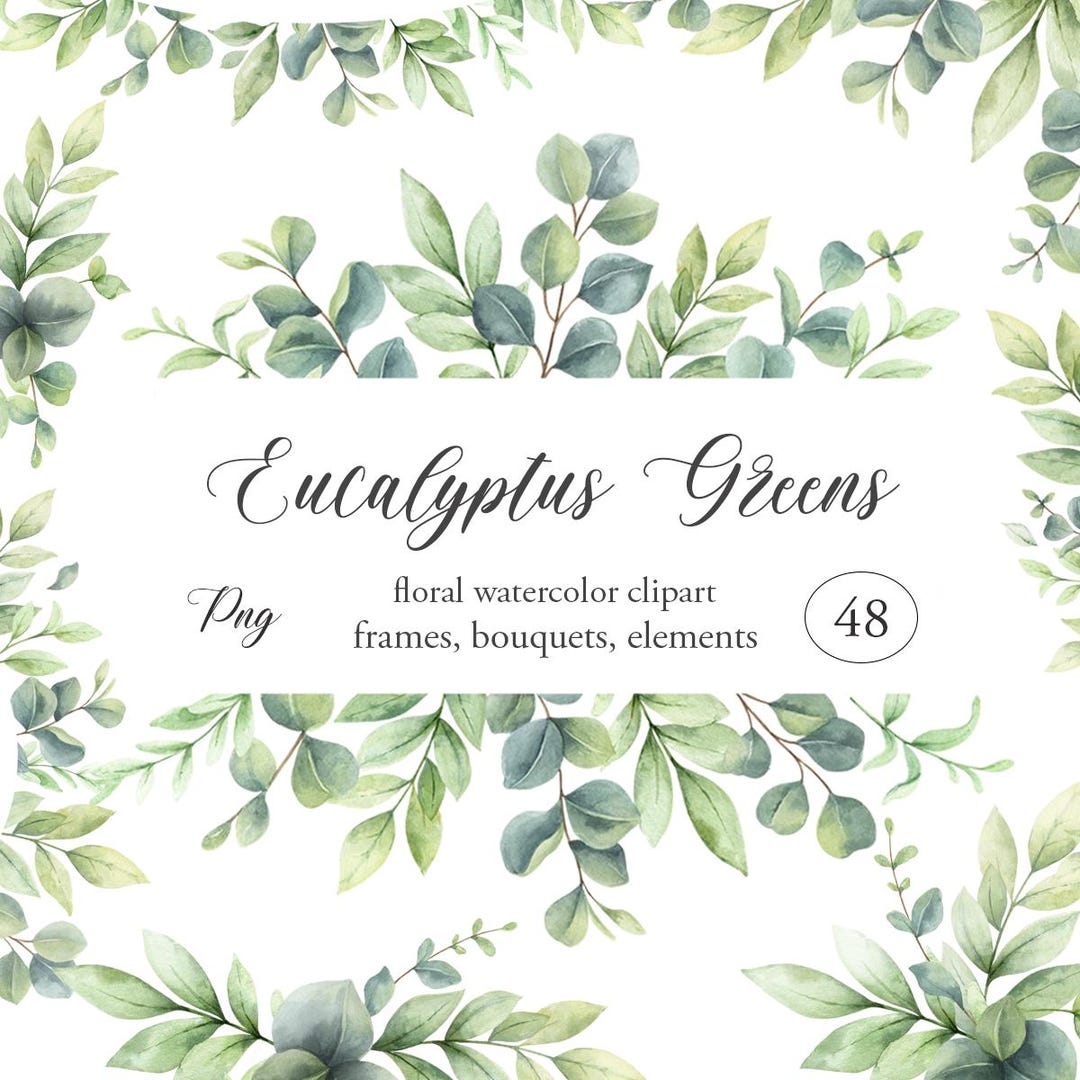 Watercolor Eucalyptus Clipart, Greenery Clipart, Green Leaves Clipart ...