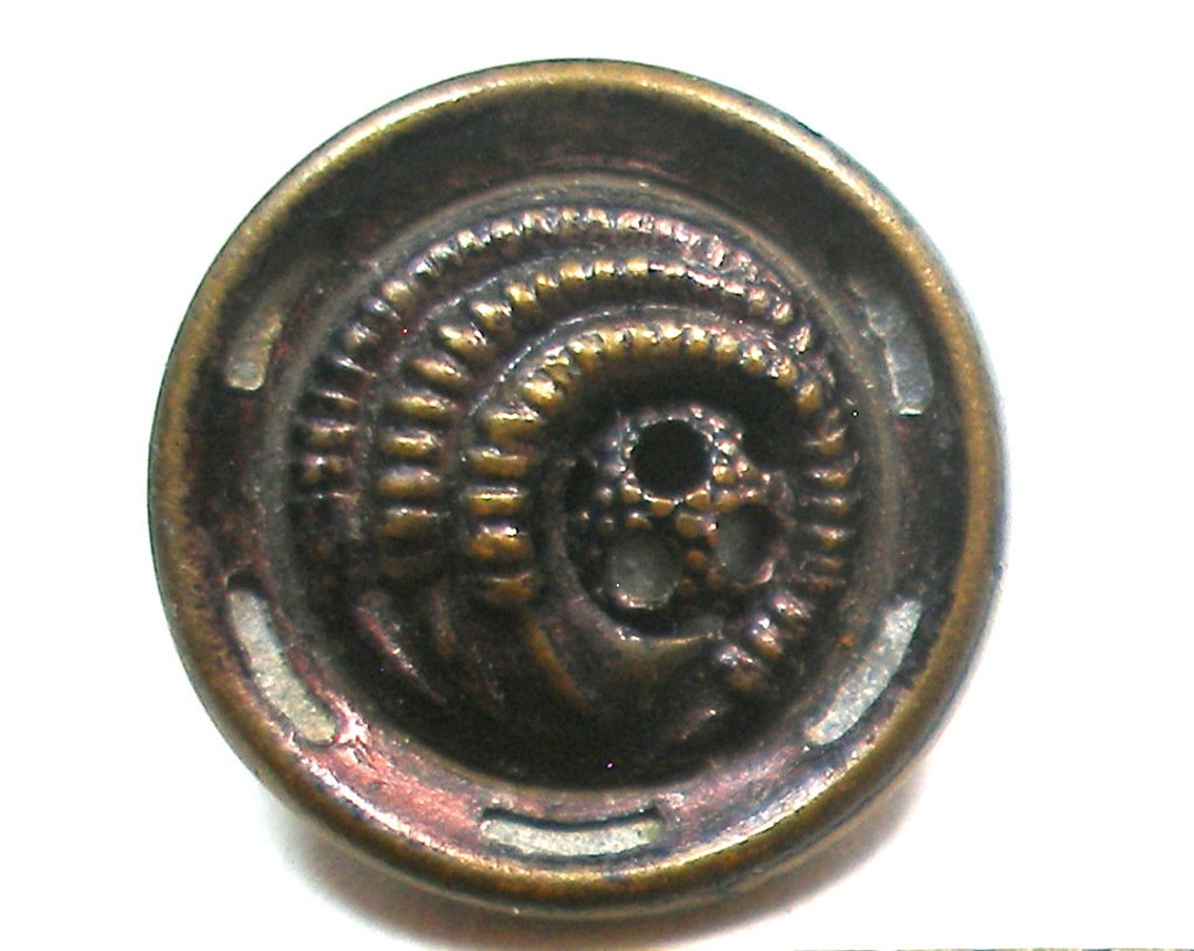 Talons Antique BUTTON, 1800s Victorian Claws With Ball, 1/2" - Etsy