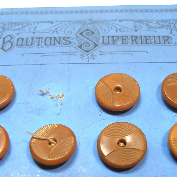 Vegetable Ivory - Etsy