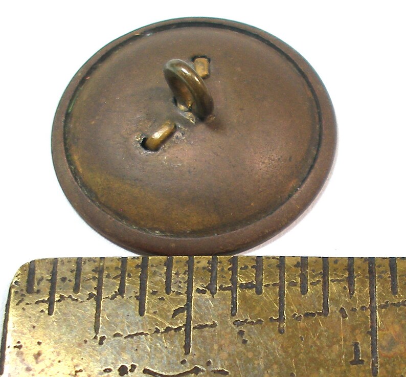 1800s Antique Button. Victorian Flowers 7/8. Plant - Etsy