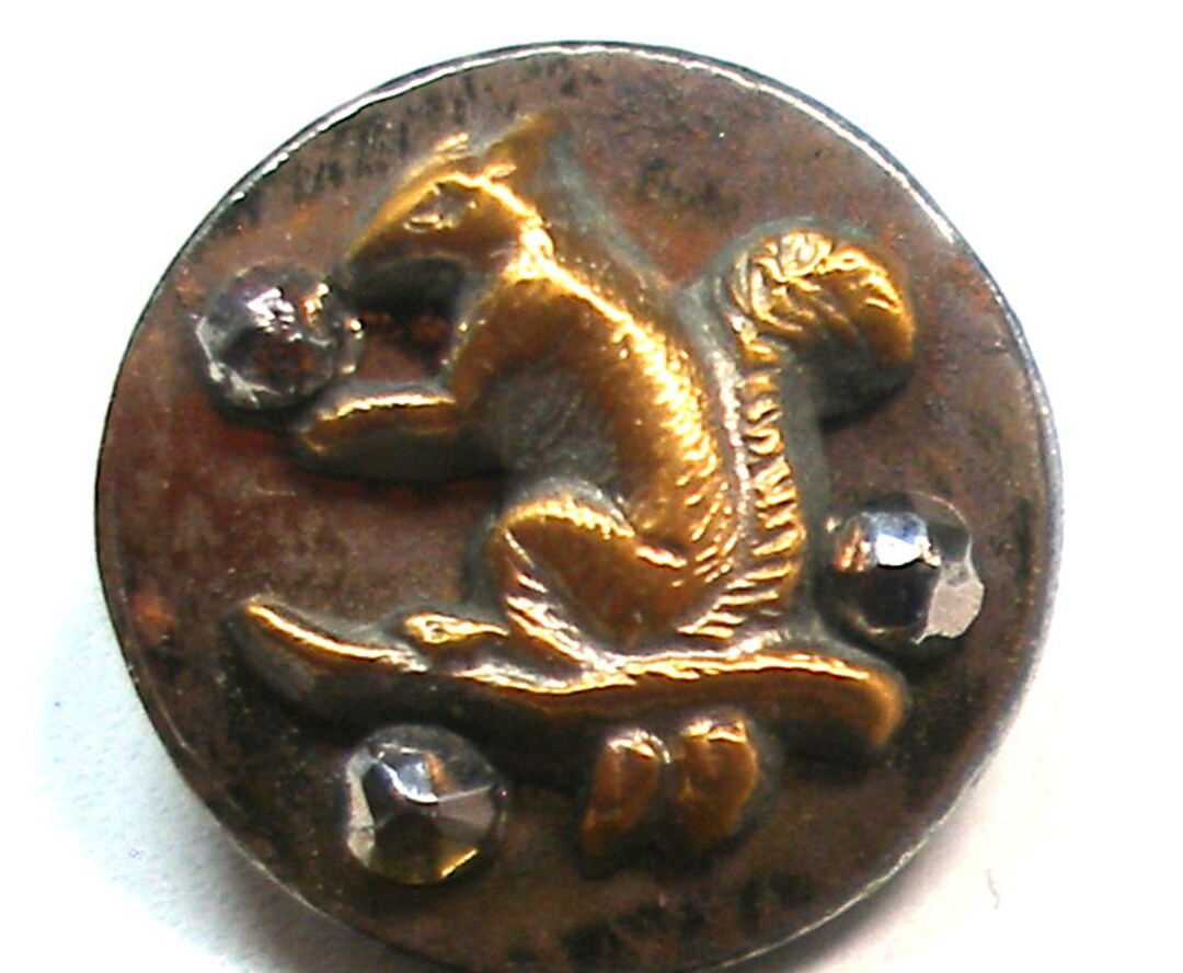 Antique SQUIRREL BUTTON, 1800s Victorian Animal, 1/2", 3D With Cut Steel. - Etsy
