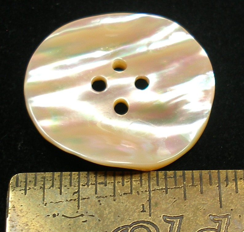Gorgeous XL Shell BUTTON With Iridescence. 1.5. | Etsy