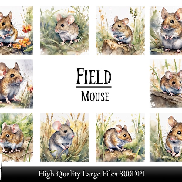 Field Mouse - Etsy