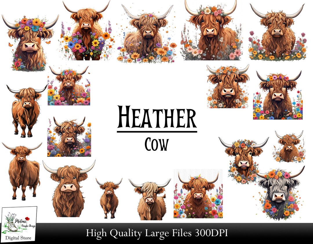 Heather Cattle Cow Collection Clipart, 25 PNG Farmers Highland Cattle ...