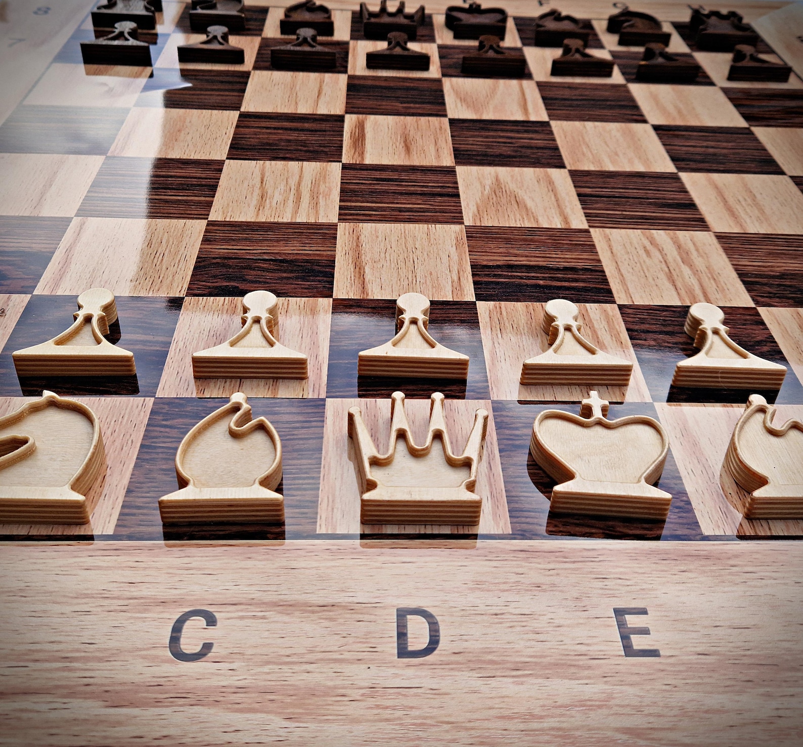 Professional Chess Set- Vertical. Large Wall-mounted Magnetic Demo ...