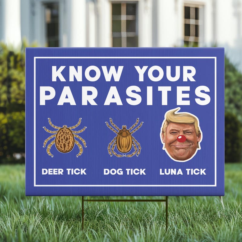 Anti Trump Yard Signs - Etsy