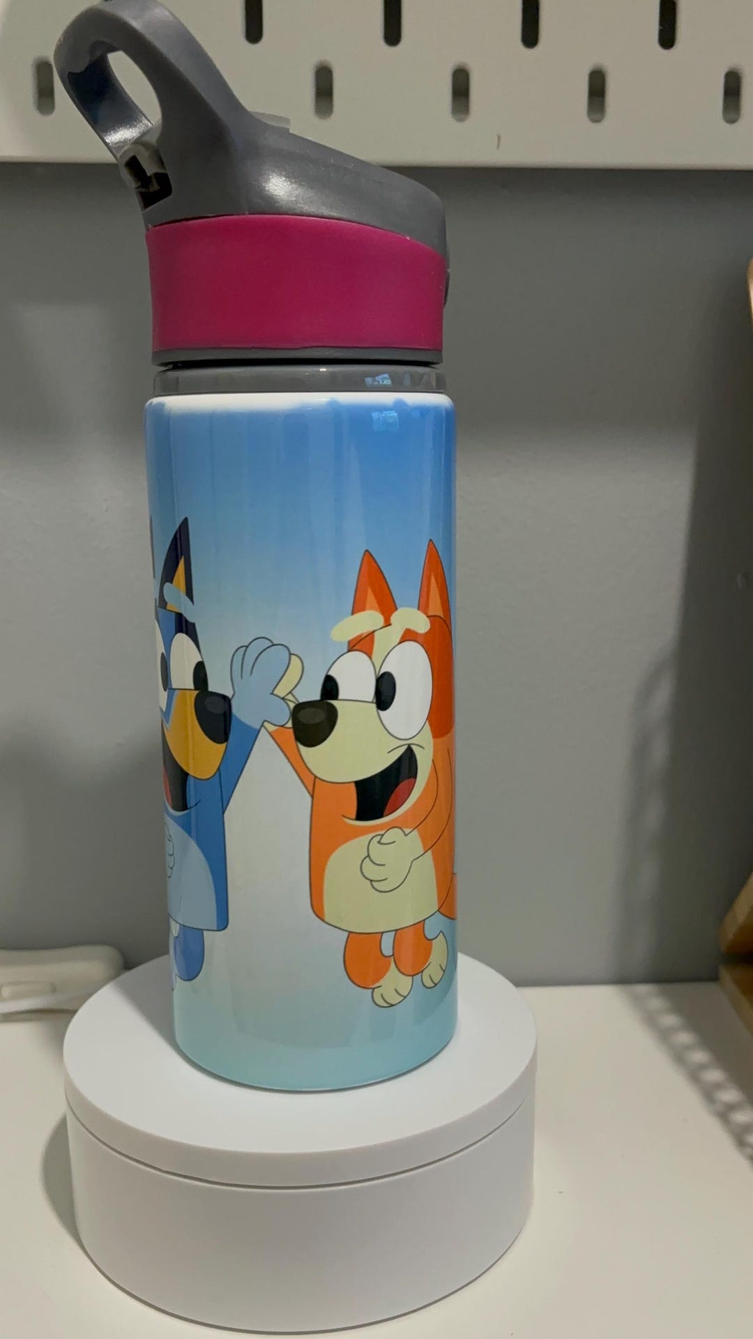 Bluey and Bingo Water Bottle | Personalised Bottle | Integrated Straw ...