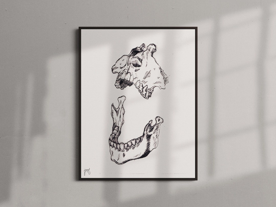 Jawbone Art Print, Skull Illustration, Anatomical Jaw, Gothic Art ...