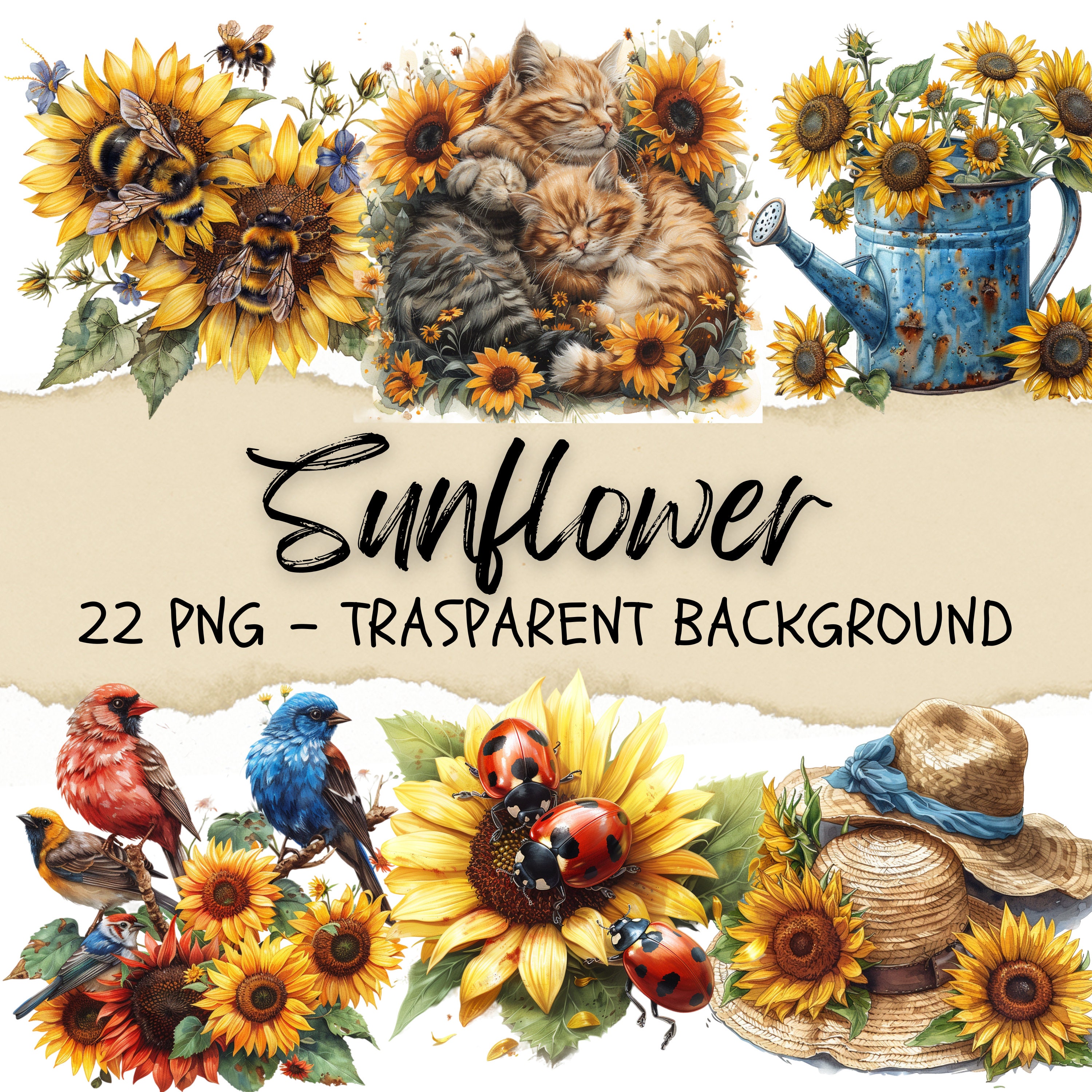 22 Watercolor Sunflower Clipart, Floral Stickers (PNG, 1024x1024 Px) - Etsy