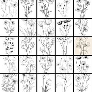 62 Flower Lineart, Flower Line Drawing, Floral Line Art, Outline ...