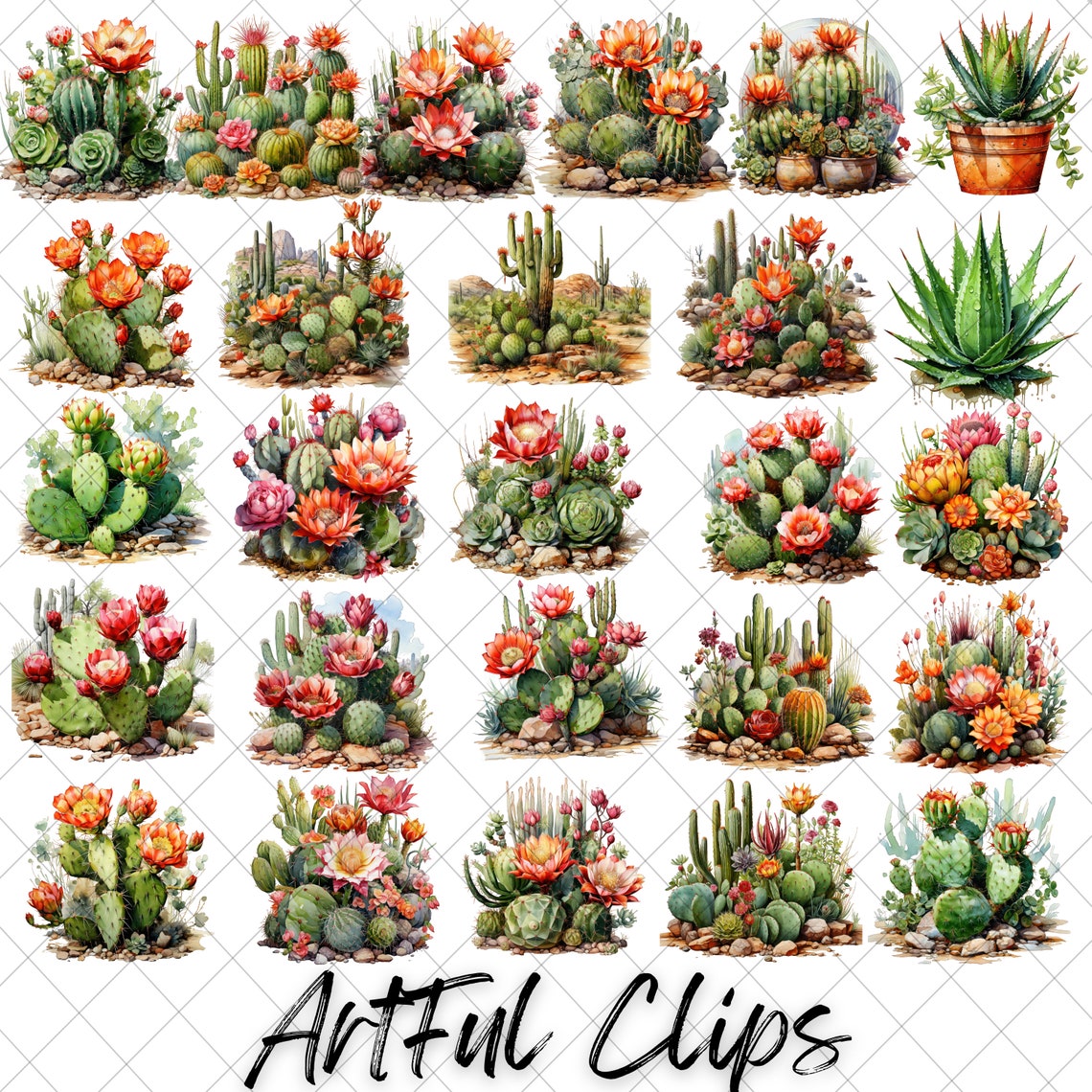 Watercolor Cactus Clipart, Desert Succulents, Flower Stickers (digital ...
