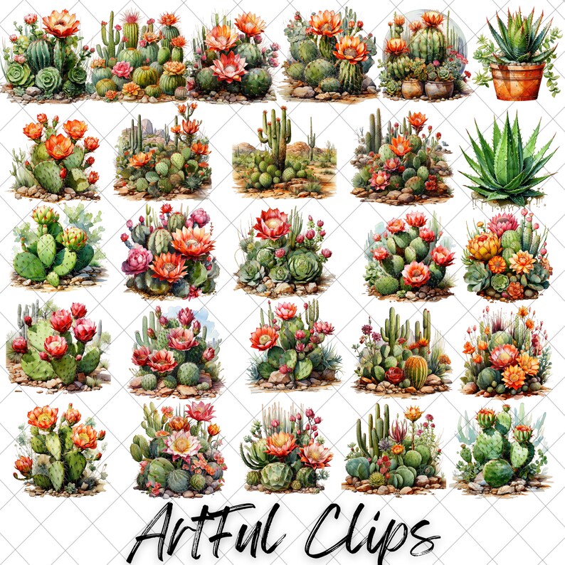 27 Cactus Clipart, Cactus Images, Flower Cacti Stickers Clipart ...