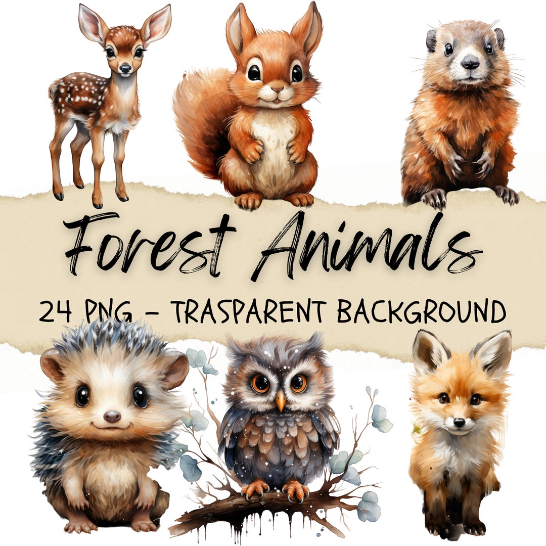 24 Woodland Animals Png, Forest Animal Clipart, Bear Owl Bird Fox Snake ...