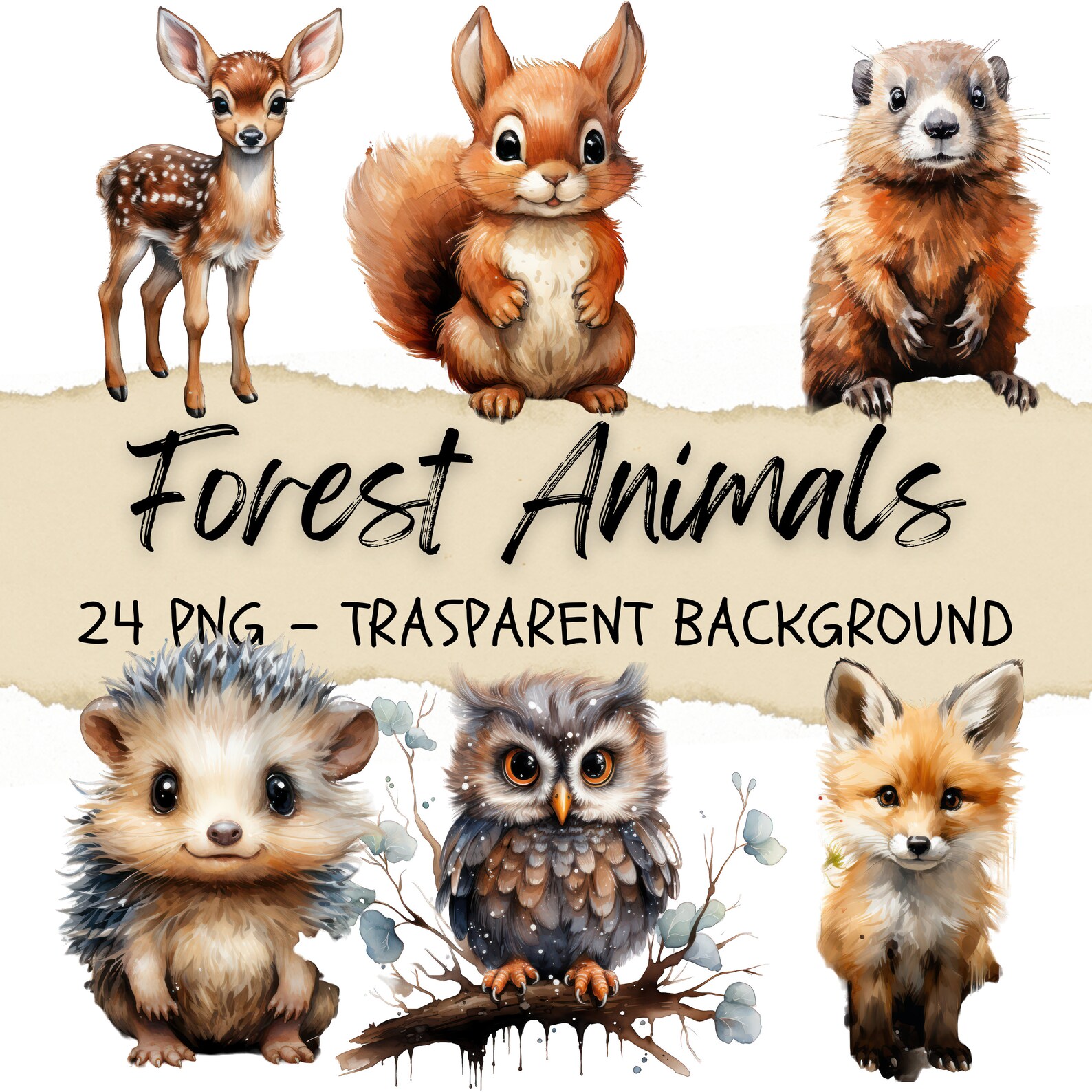 24 Woodland Animals Png, Forest Animal Clipart, Bear Owl Bird Fox Snake ...