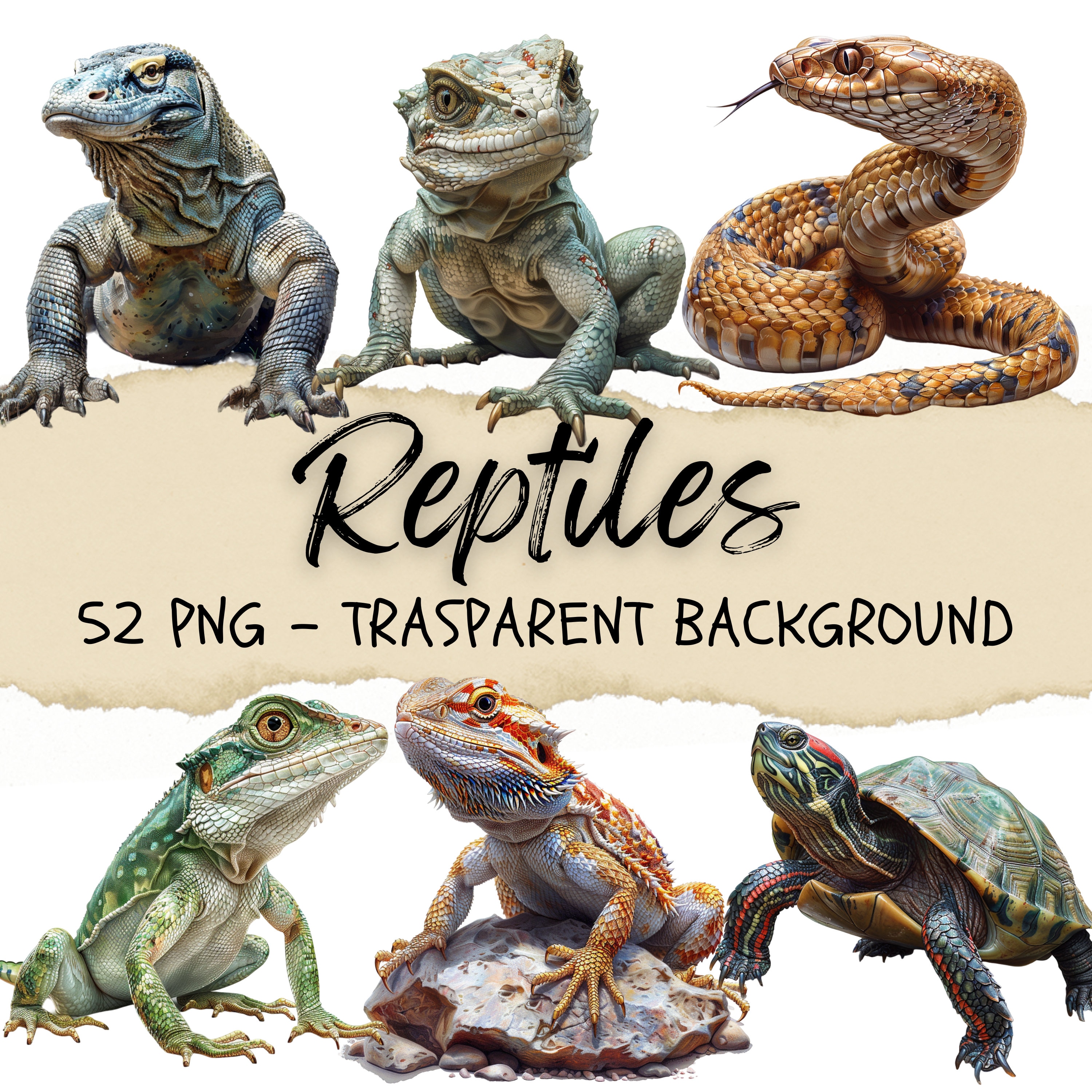 Watercolor Reptiles Clipart, Alligator, Snake, Turtle, Frog (PNG ...