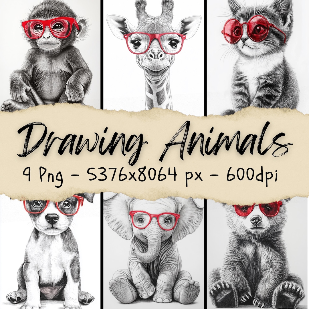 9 Animal Drawing Wall Art, Animals Illustrated Painting, Black N White ...