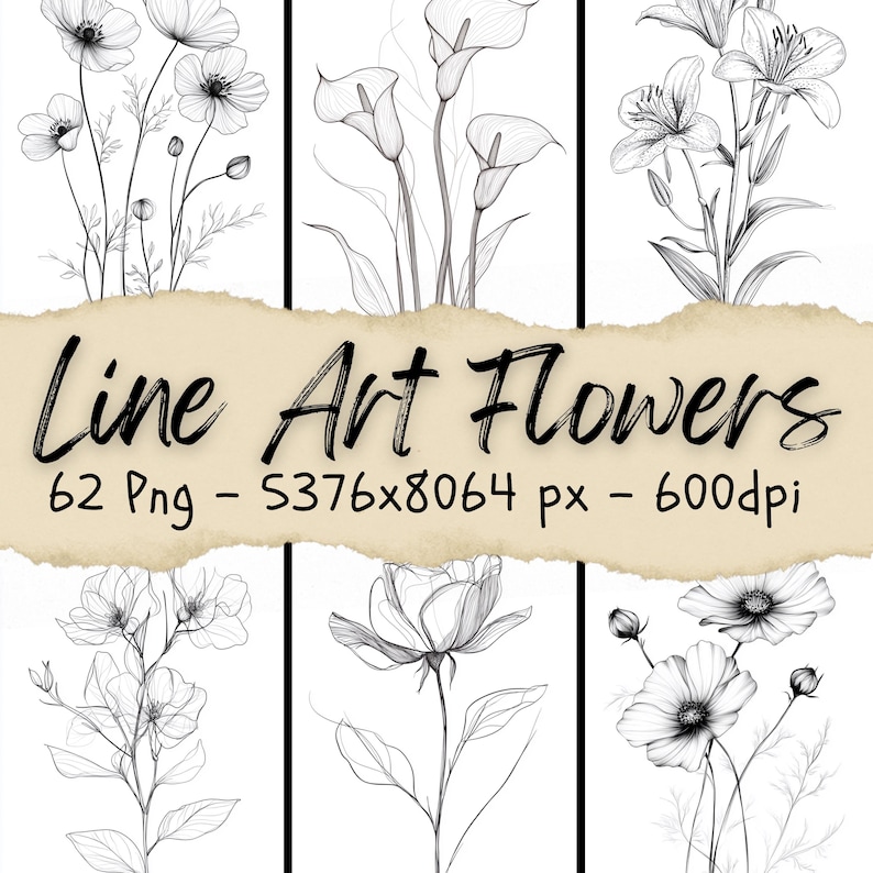 62 Flower Lineart, Flower Line Drawing, Floral Line Art, Outline ...