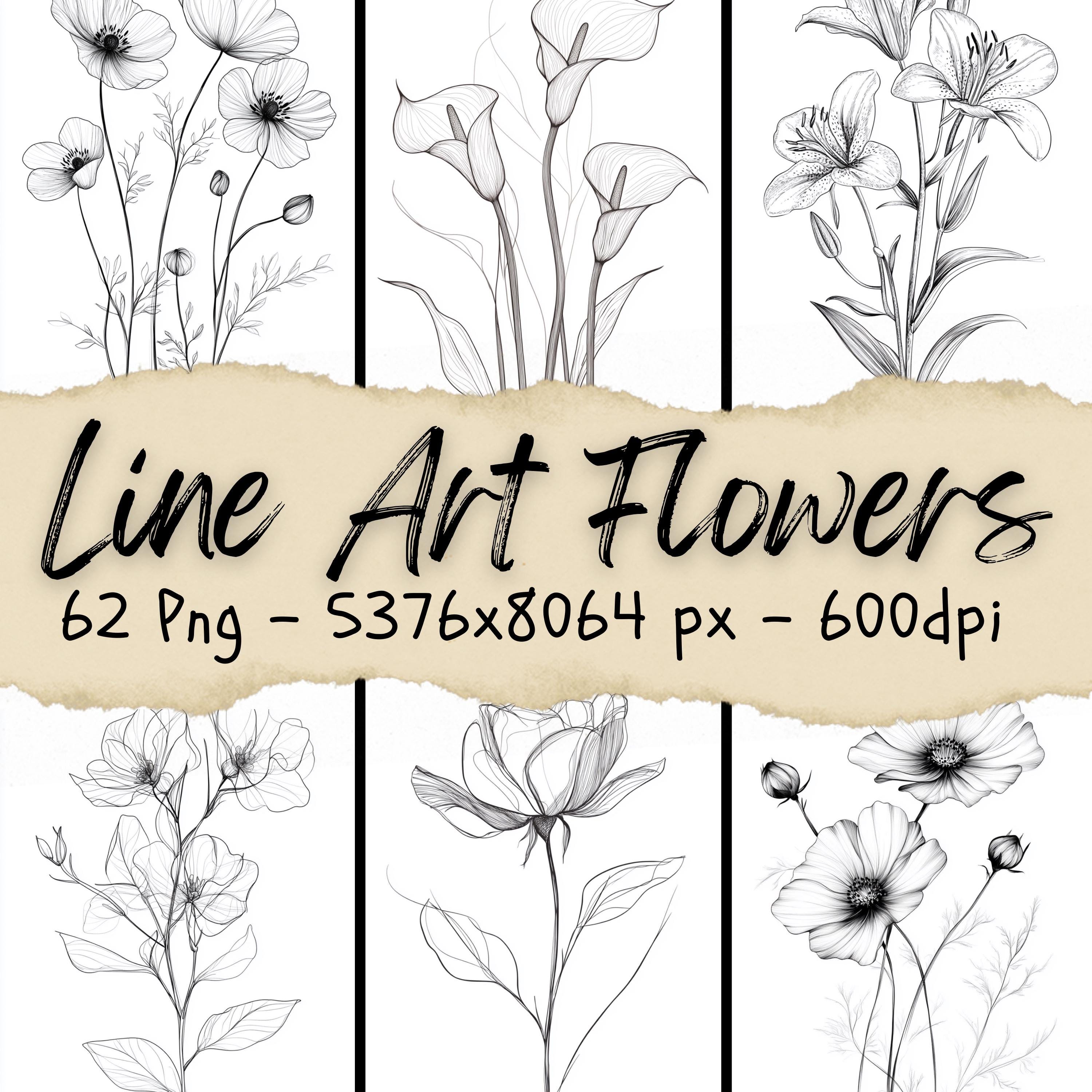 62 Flower Lineart, Flower Line Drawing, Floral Line Art, Outline ...