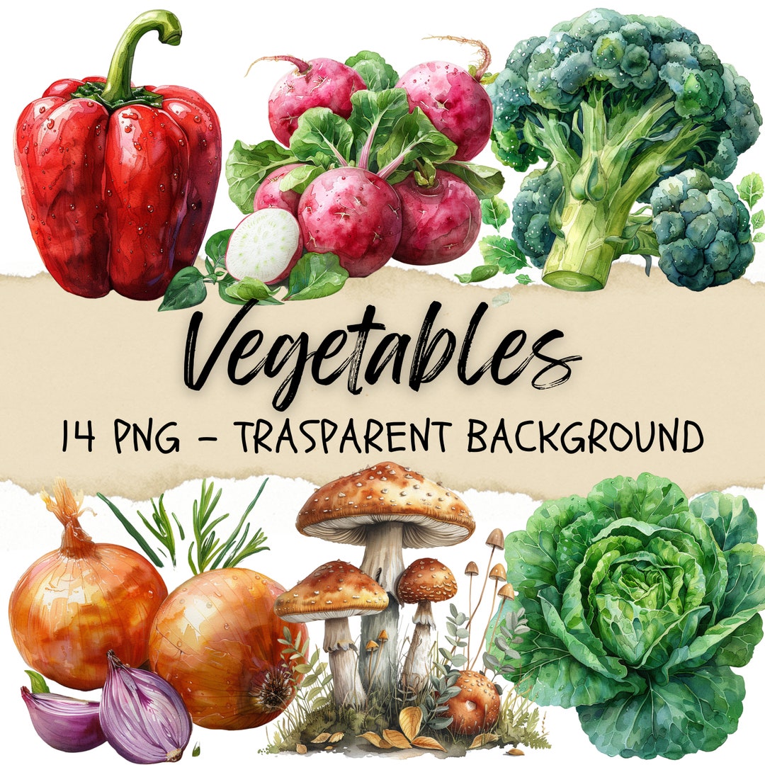 14 Vegetables Clipart, Vegetable Images, Ealthy Food Clip Art, Veggie ...
