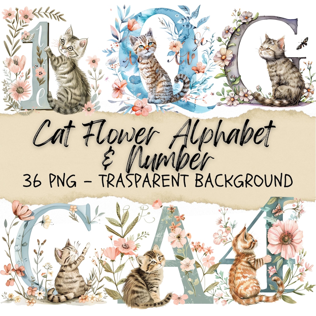 Floral Cat Alphabet Clipart: Number & Letter Font (digital Download ...