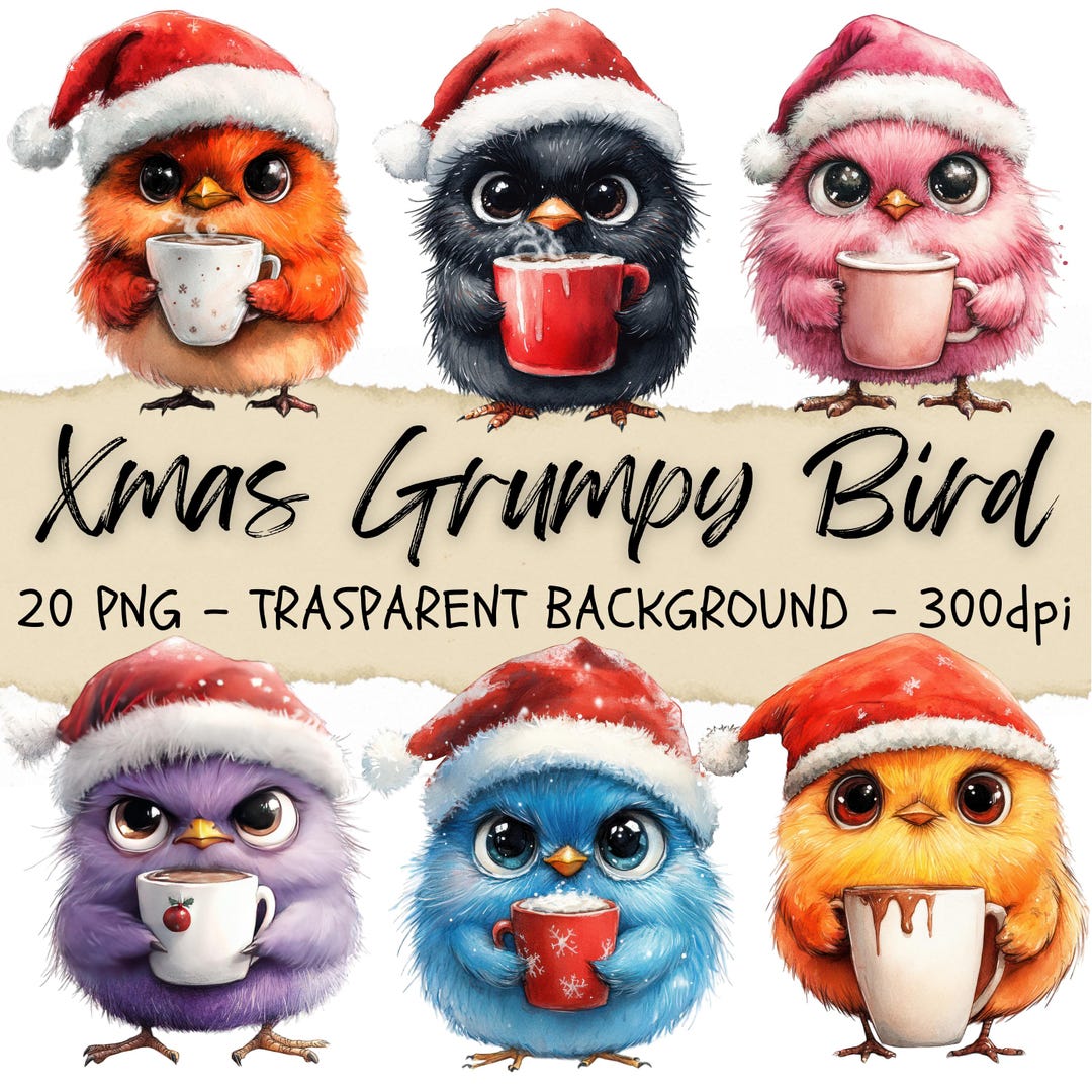 20 Bird Clipart Fat Grumpy Bird Christmas Clipart, Santa Claus, New ...
