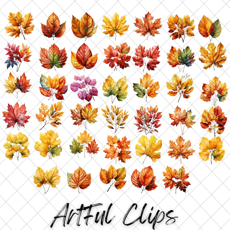 40 Fall Leaf Watercolor Clipart, Autumn Leaves PNG (digital Download ...