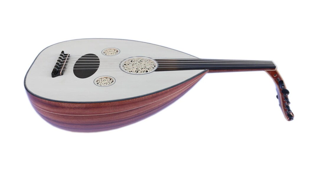 Turkish Professional Electric Oud Stage HSO-302E - Etsy