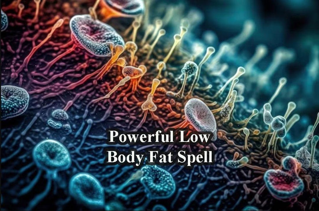 Powerful Low Body Fat Spell, Strongest Low Body Fat Spell - Etsy