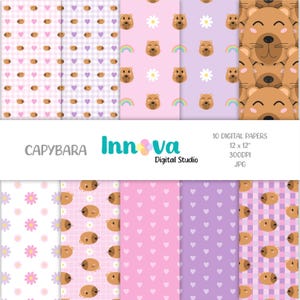Capybara Digital Paper Pack: Pink Pastel Patterns (12x12" JPEG, Instant ...