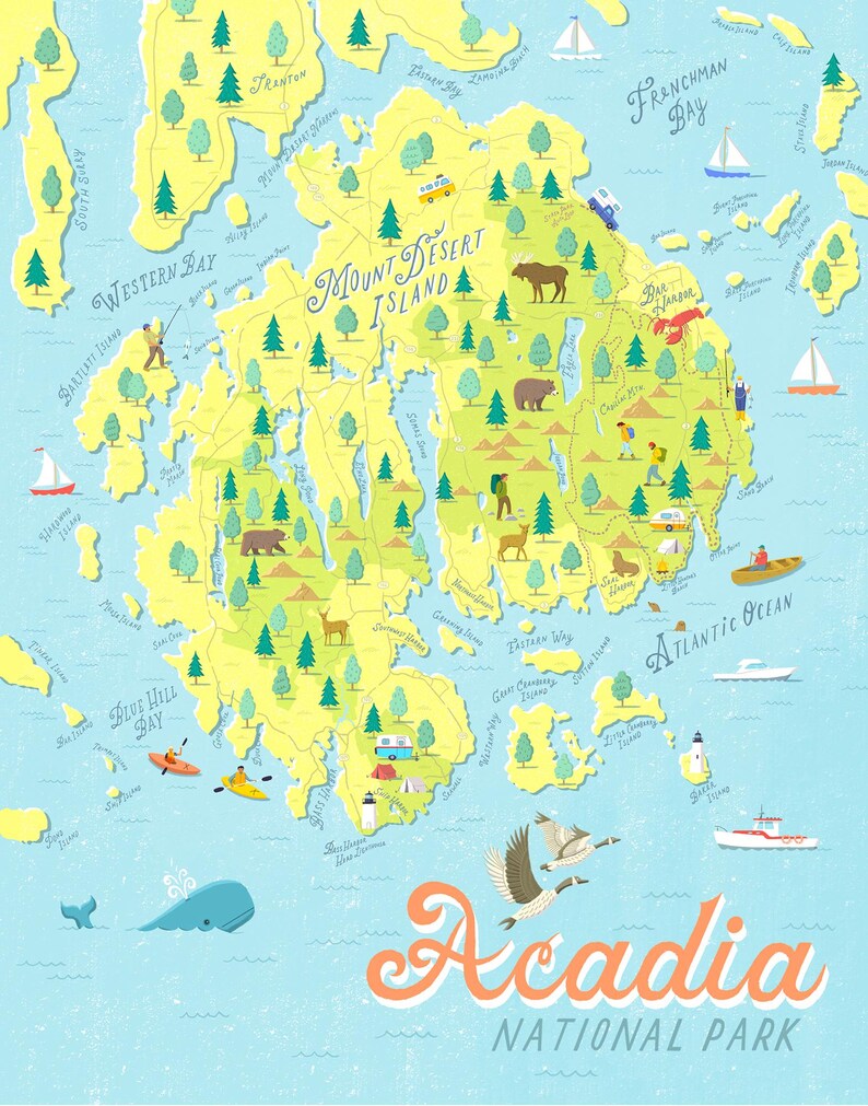 Acadia National Park Map Illustration - Etsy