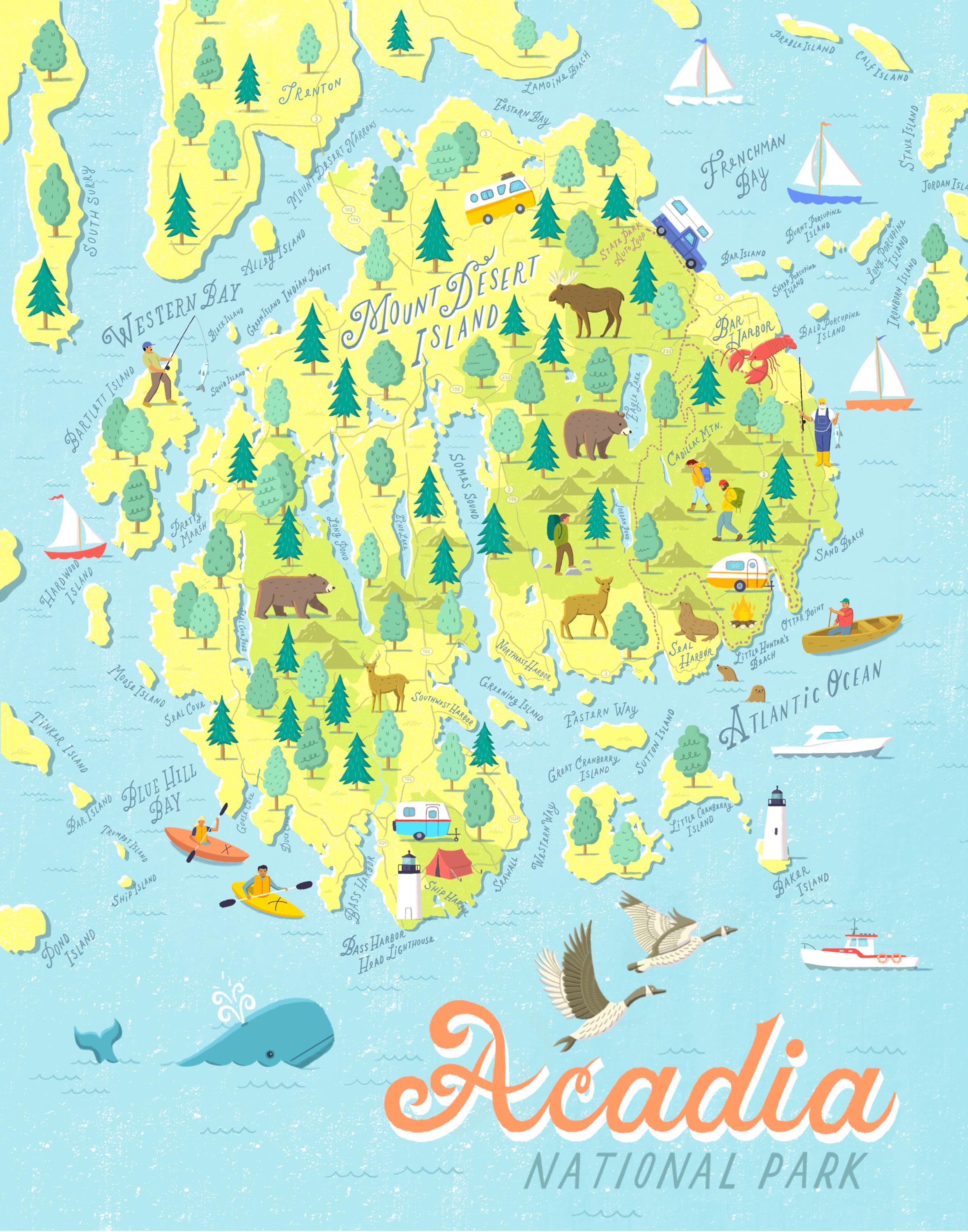Acadia National Park Map Illustration - Etsy